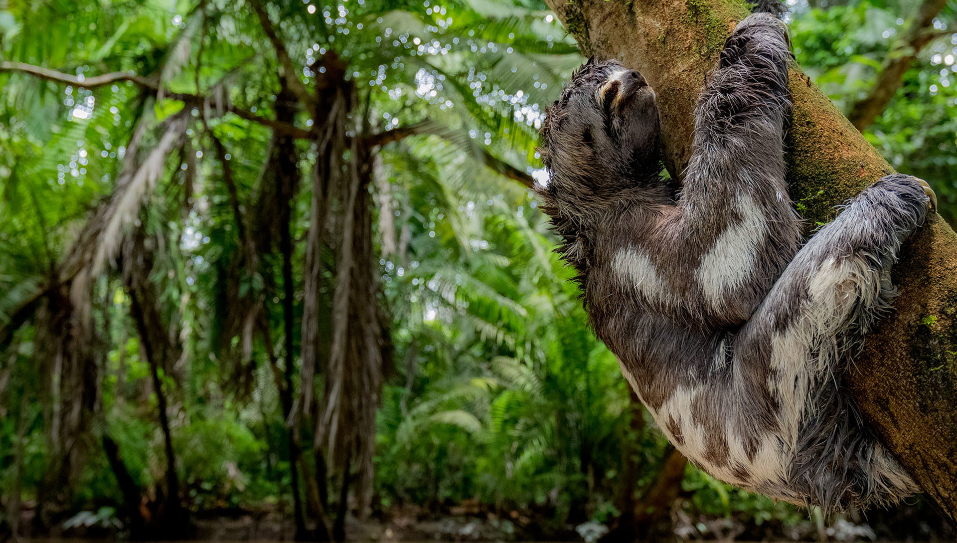 Napo Wildlife Center - Horizons Nouveaux